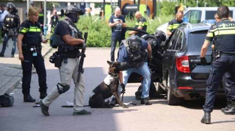 fwef - Filmpjevandedag.nl