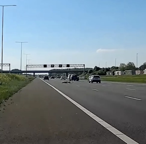 Auto filmt met zijn dashboardcamera een wel heel bijzonder object ...