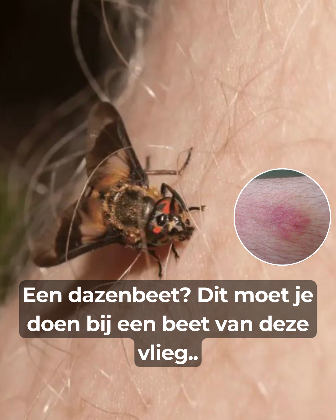 Belangrijk.. Lees dit goed door!