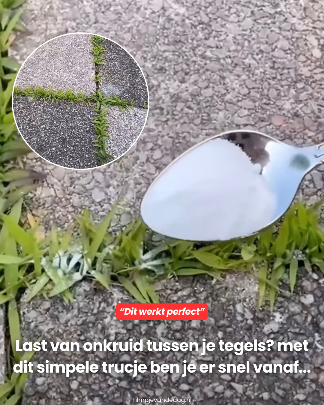 Met dit simpele trucje ben je er snel vanaf